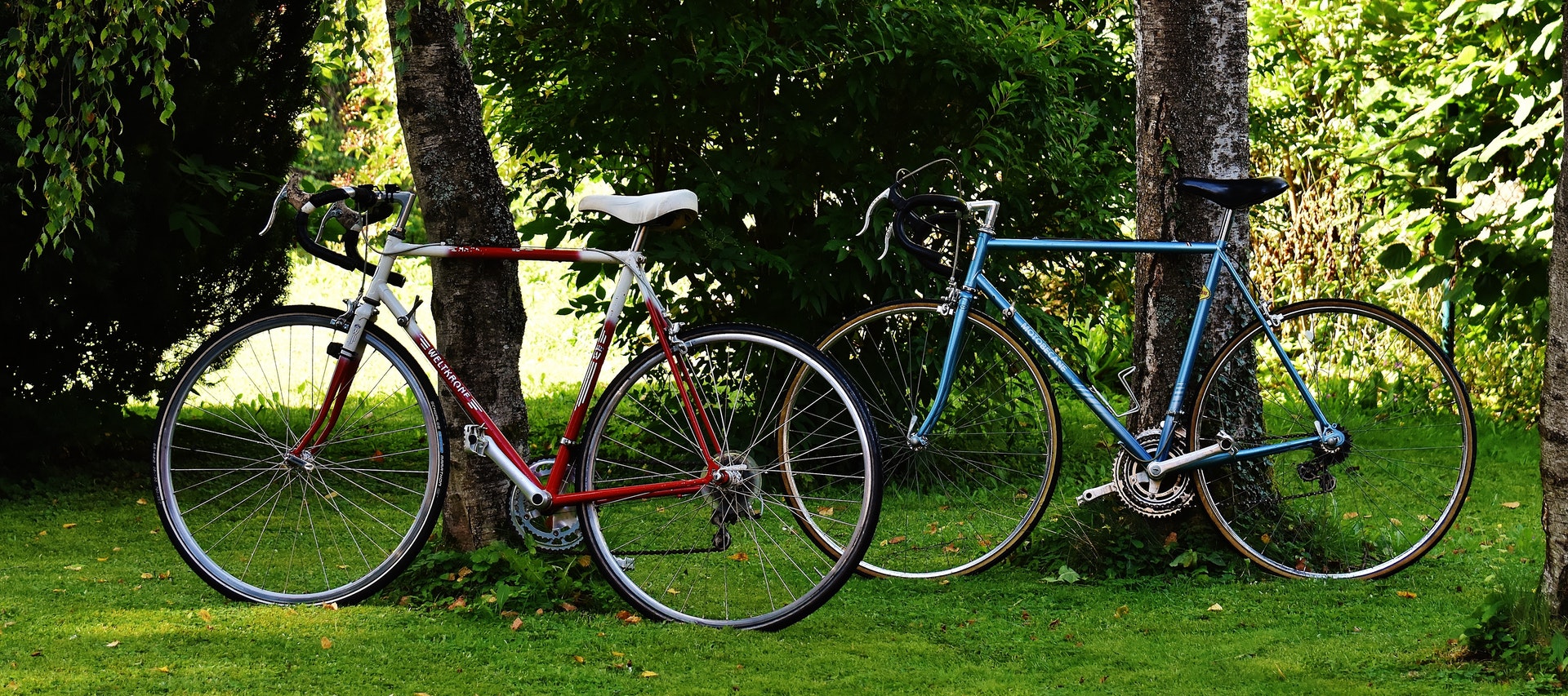 The One Bike to Rule Them All: How to Choose Your Perfect Bike